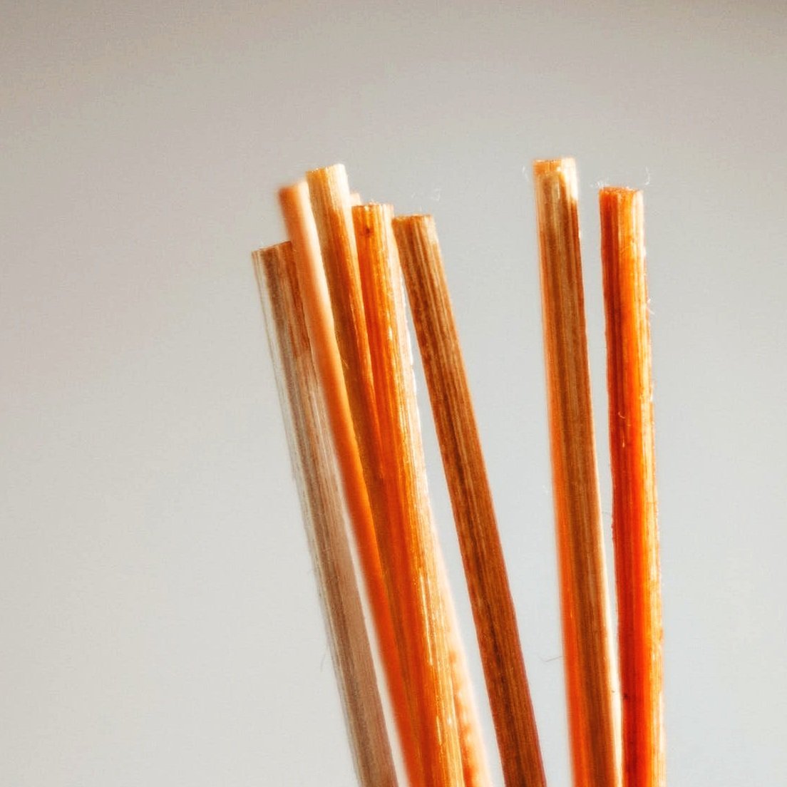 Woody Perfumes: Embrace the Earthy Elegance of Fragrance – TUOKSU